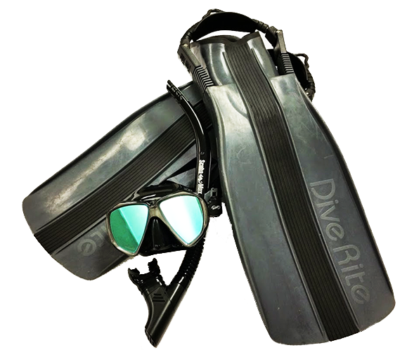 Beginners Guide to Buying Your Mask, Fins, and Snorkel – KY Diver, LLC